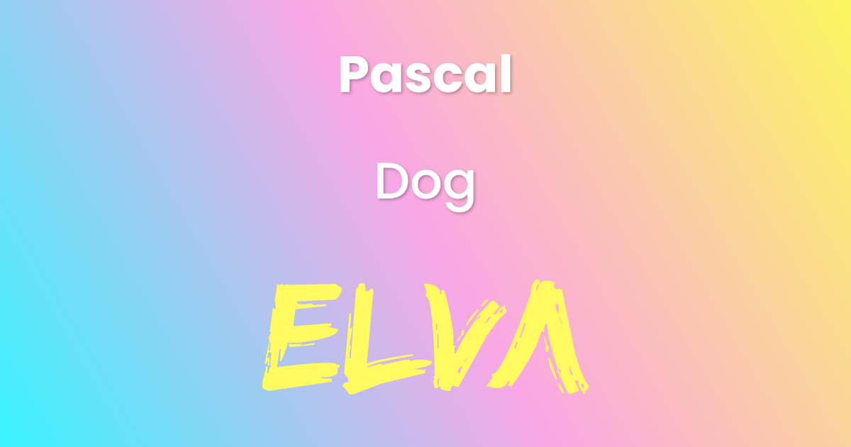 Pascal - Dog | Örebro — Elva